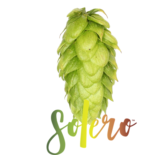 Lupulo en pellet Solero - 1lb – ticobirra